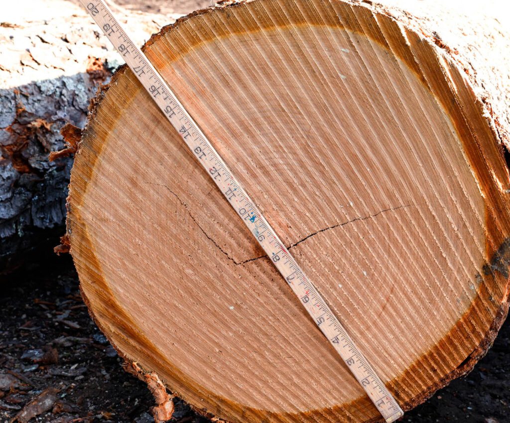 Rossi Lumber | Premium Appalachian Hardwoods